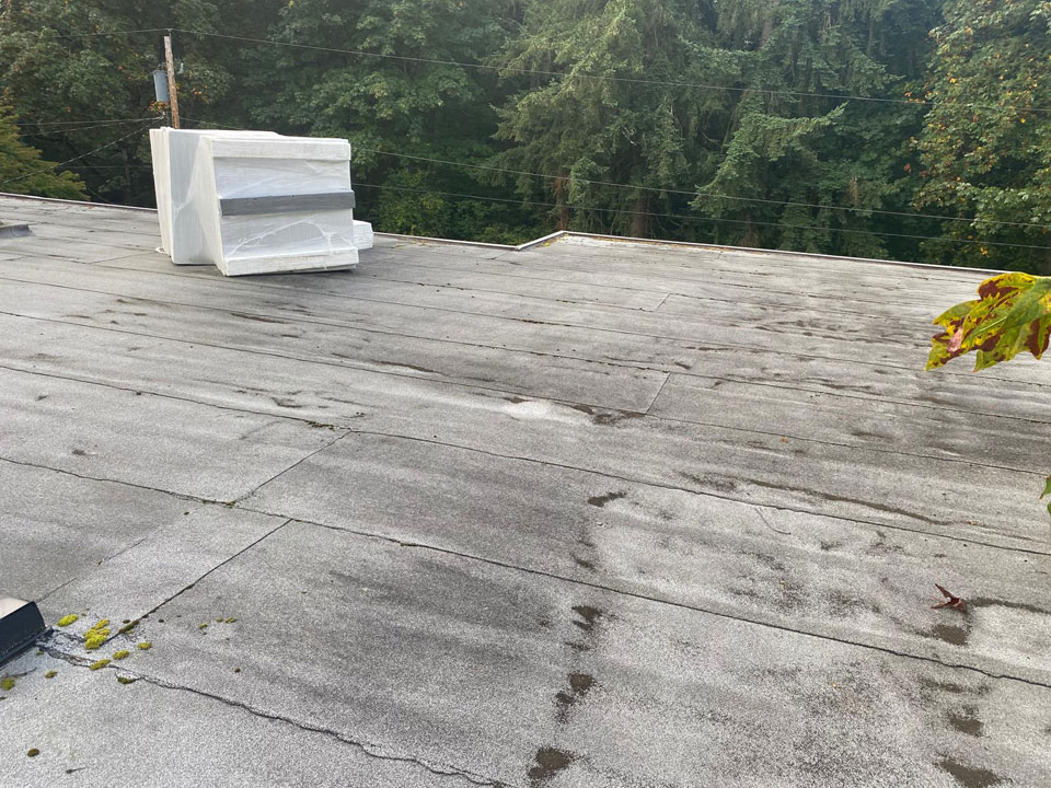 Home | Pro-Cover Roofing
